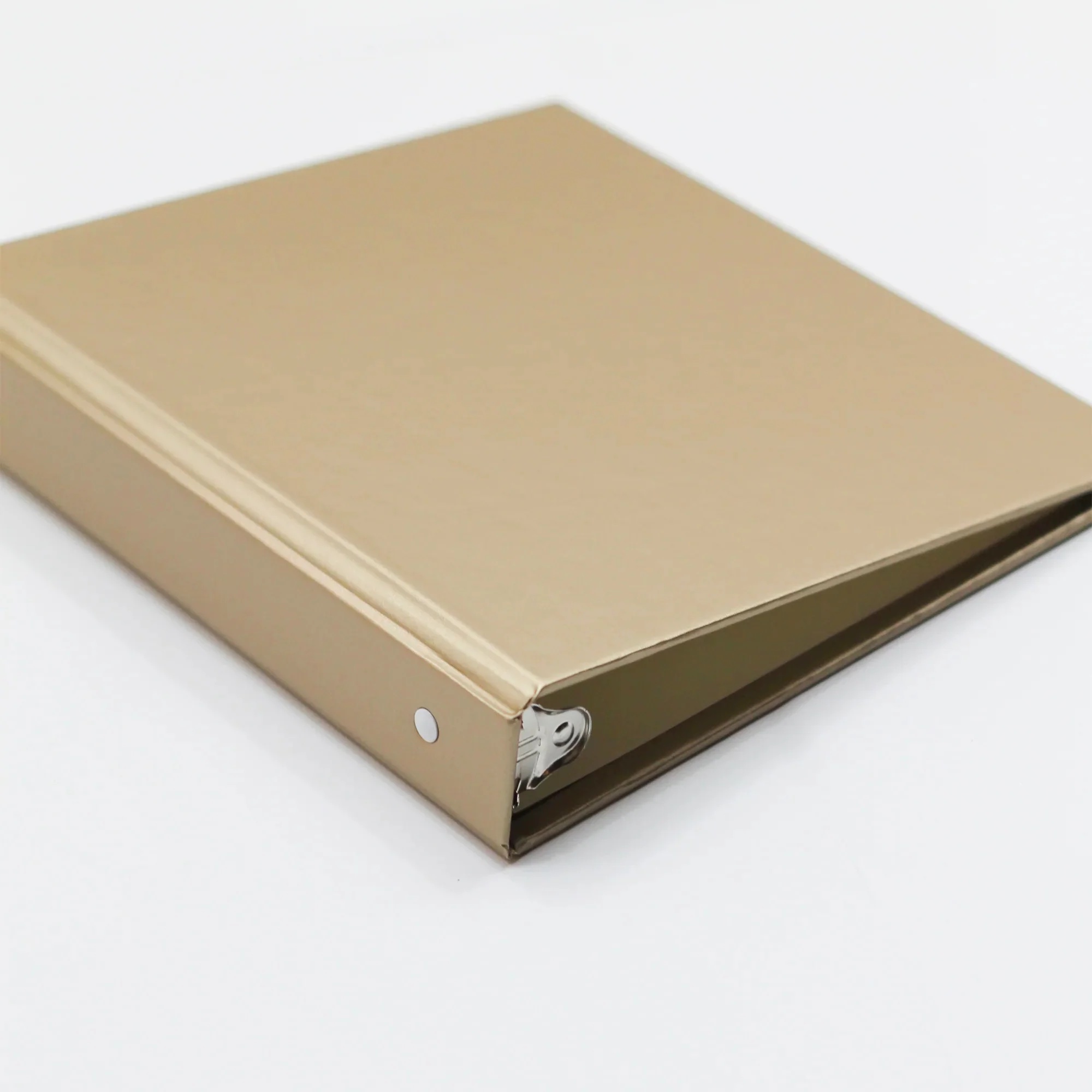 Gold Vegan Leather Photo Binder Set